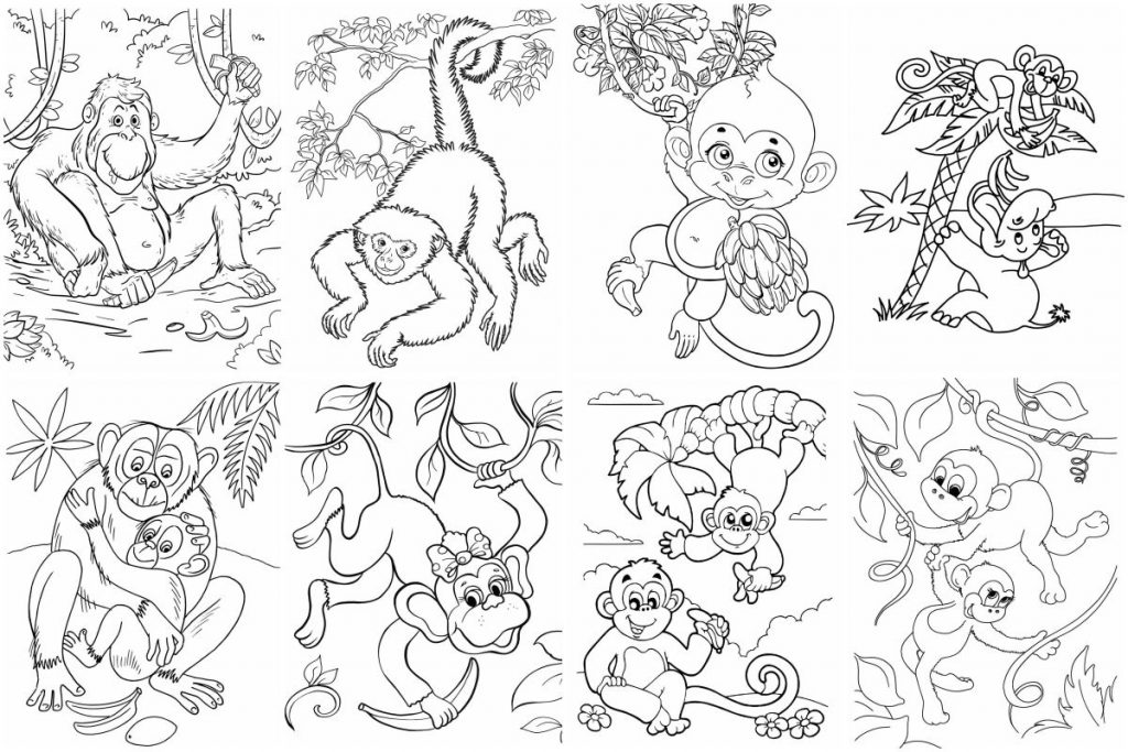 Monkeys coloring pages