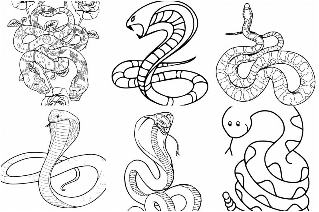 Snakes coloring pages